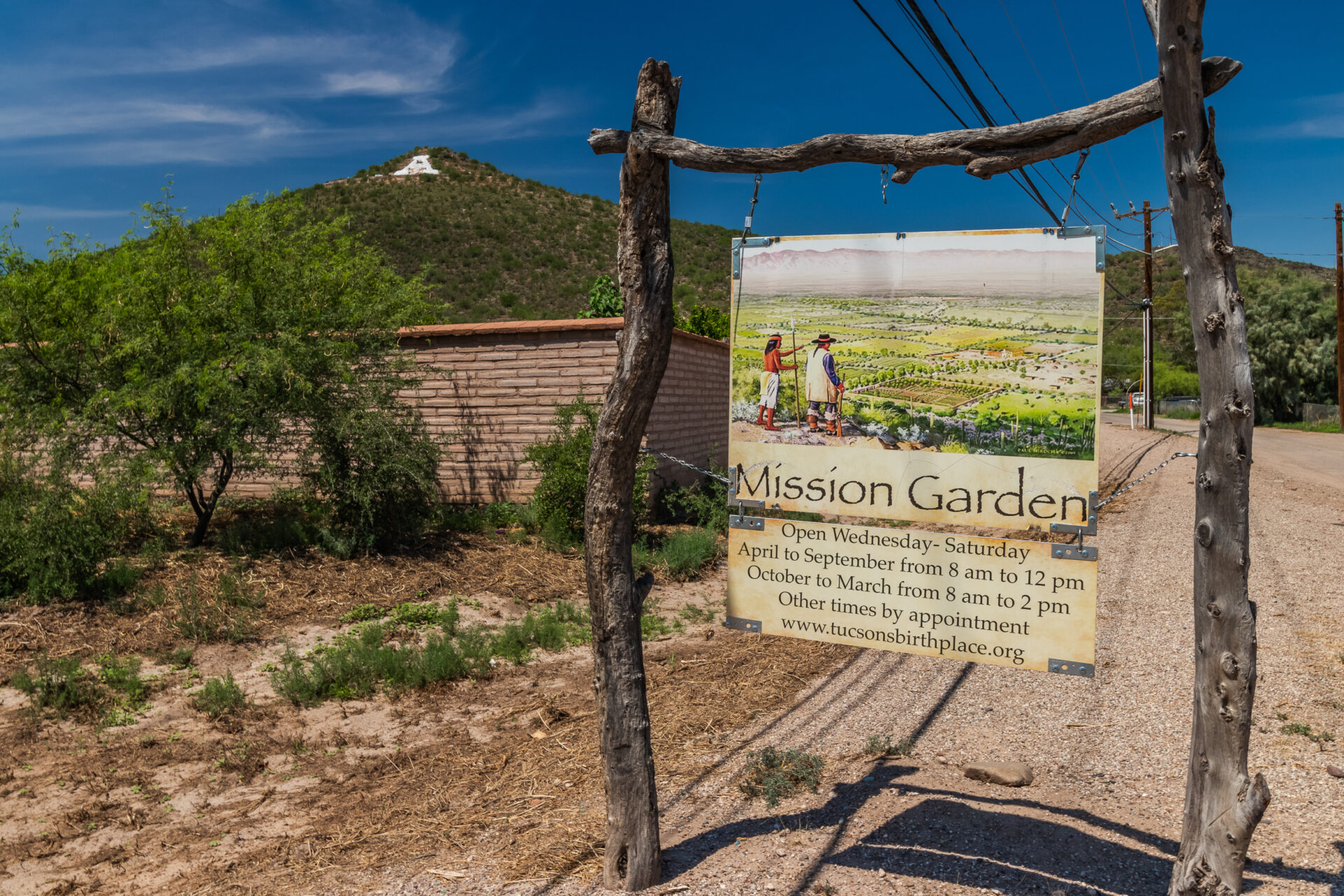 The Best Tucson Gardens Located in Beautiful Tucson Arizona